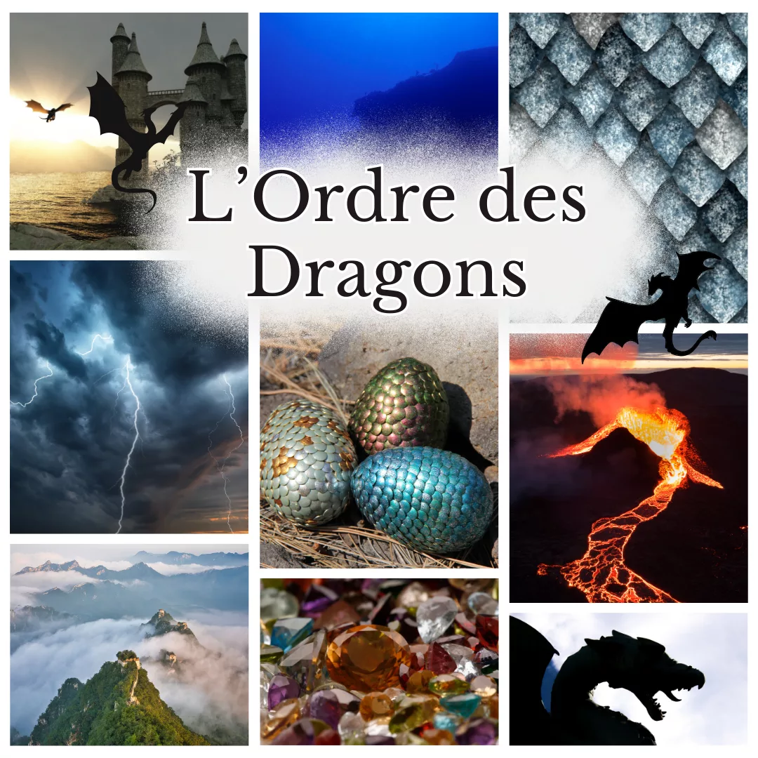 Patron au crochet MCal l'Ordre des Dragons - Croch Ta Maille